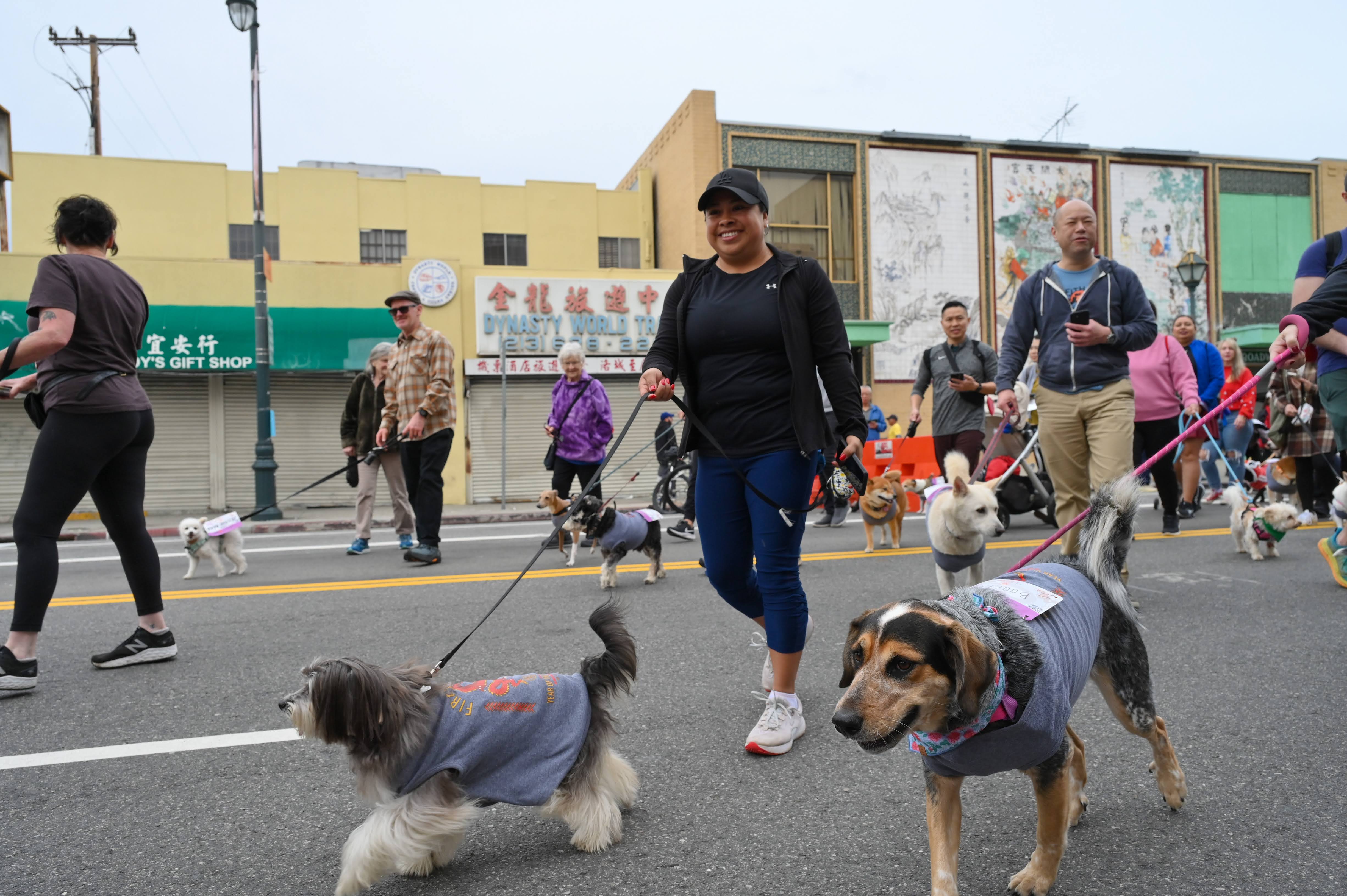 Gallop by the festive LA Chinatown Firecracker to run, bike, and walk ...