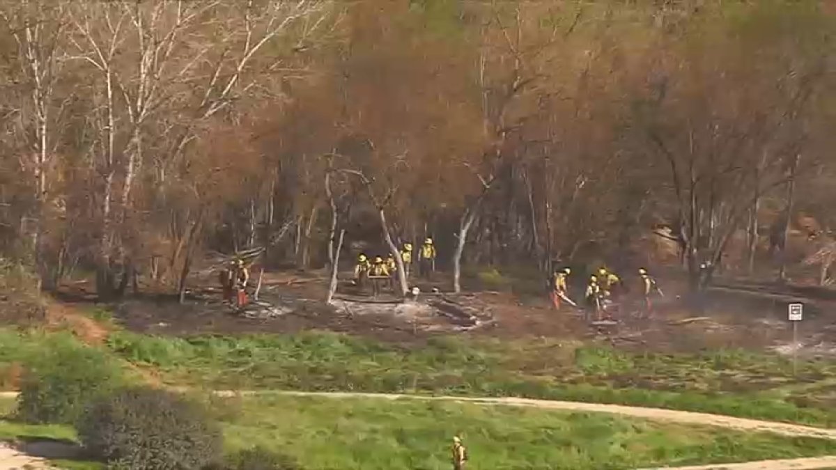 Firefighters extinguish brush fire at Lake Balboa Park – NBC Los Angeles