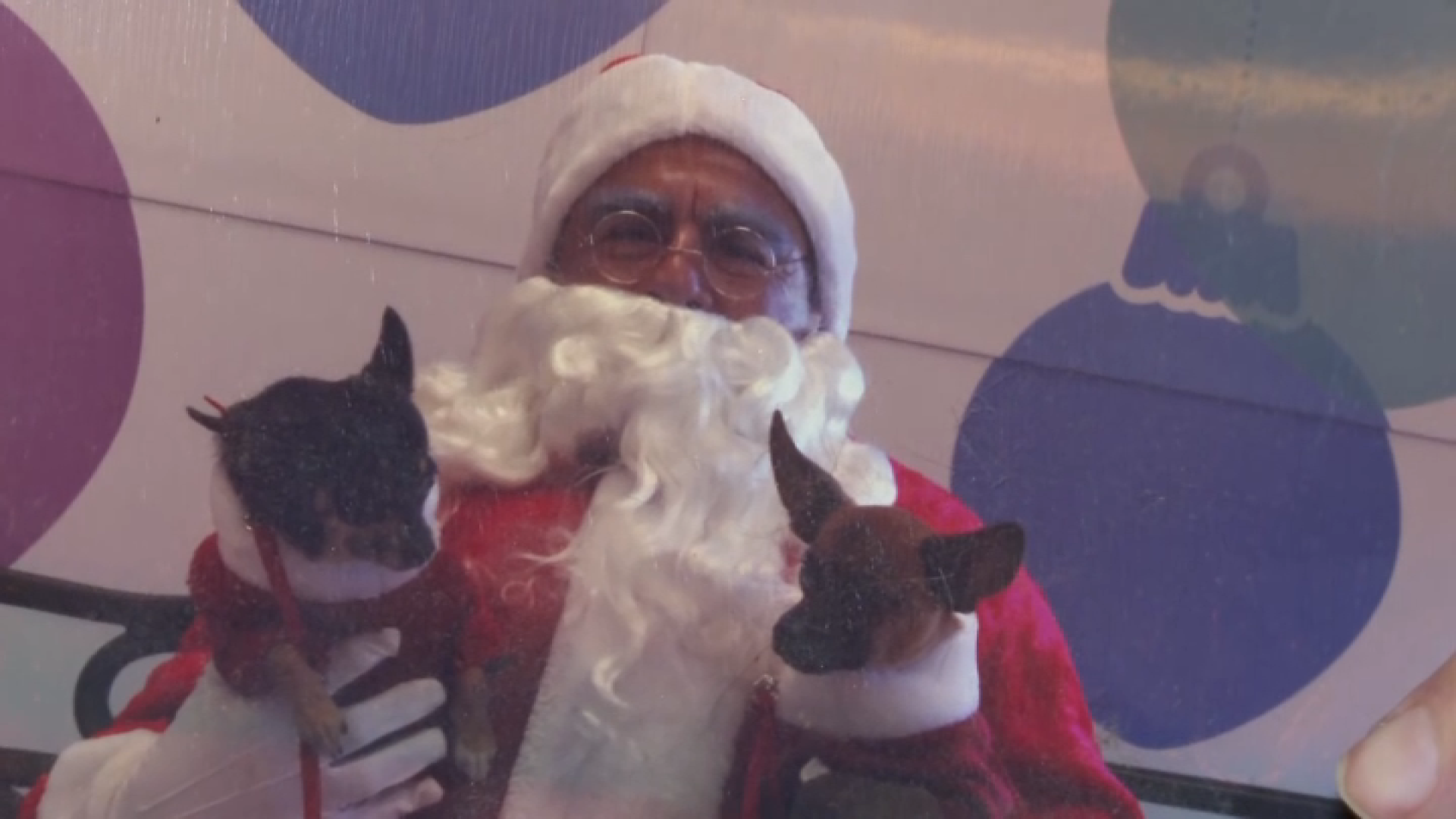 San Bernardino elderly man wants to find his elderly dog – NBC Los Angeles