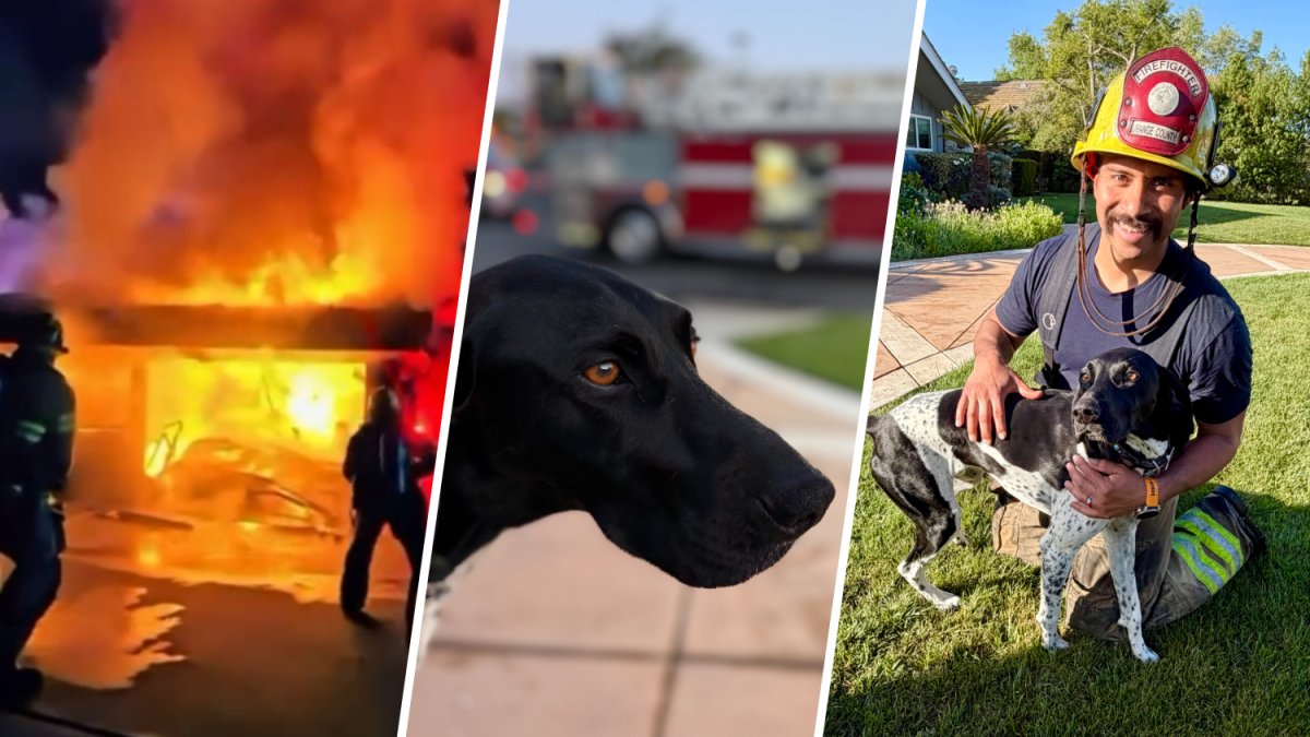 Dog’s nonstop barking alerts family to garage fire at OC home – NBC Los ...