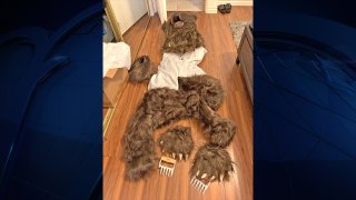 California bear-suit luxury car scam ends in insurance fraud sentences ...