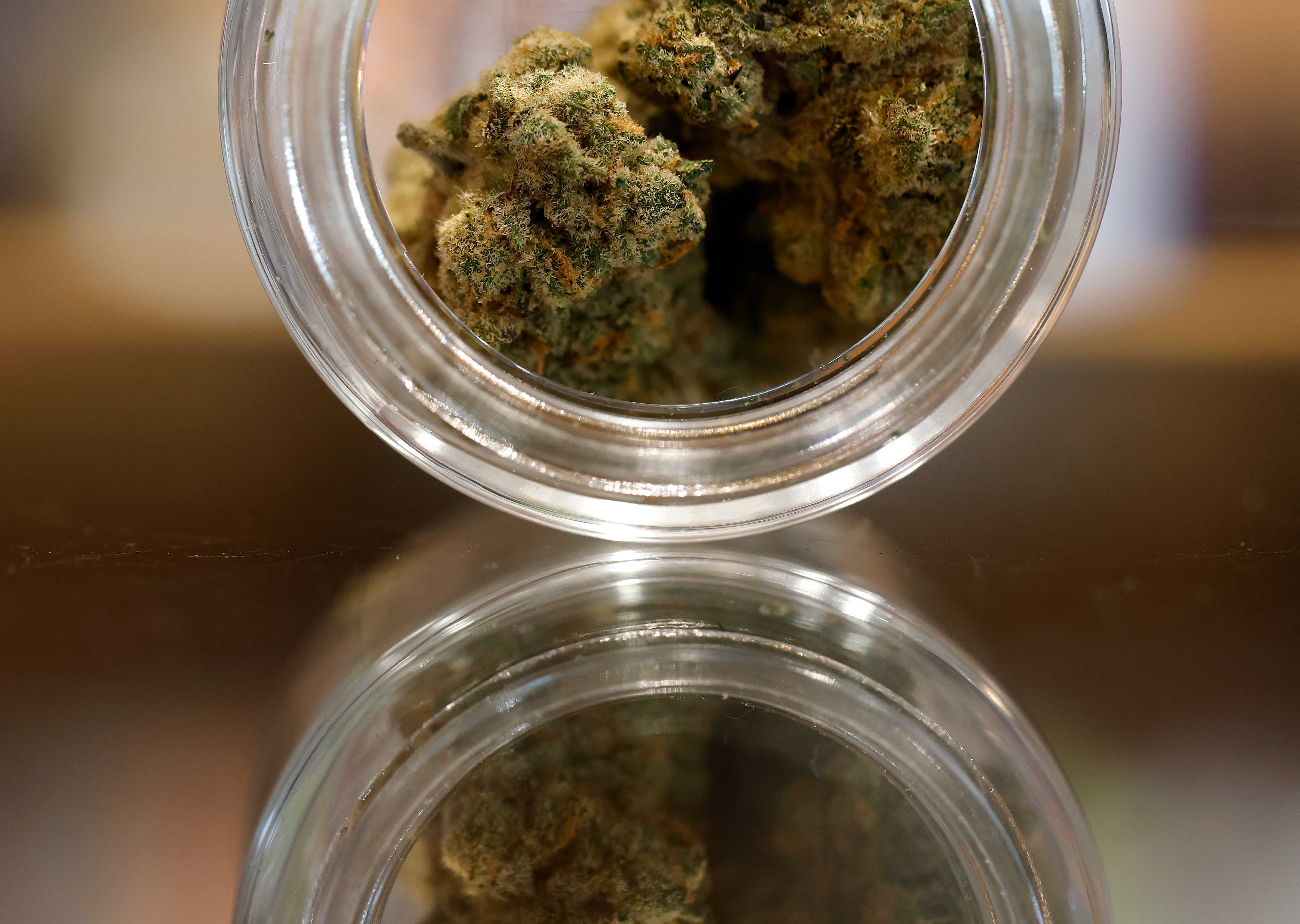 Trump administration reclassifies state-licensed medical marijuana ...