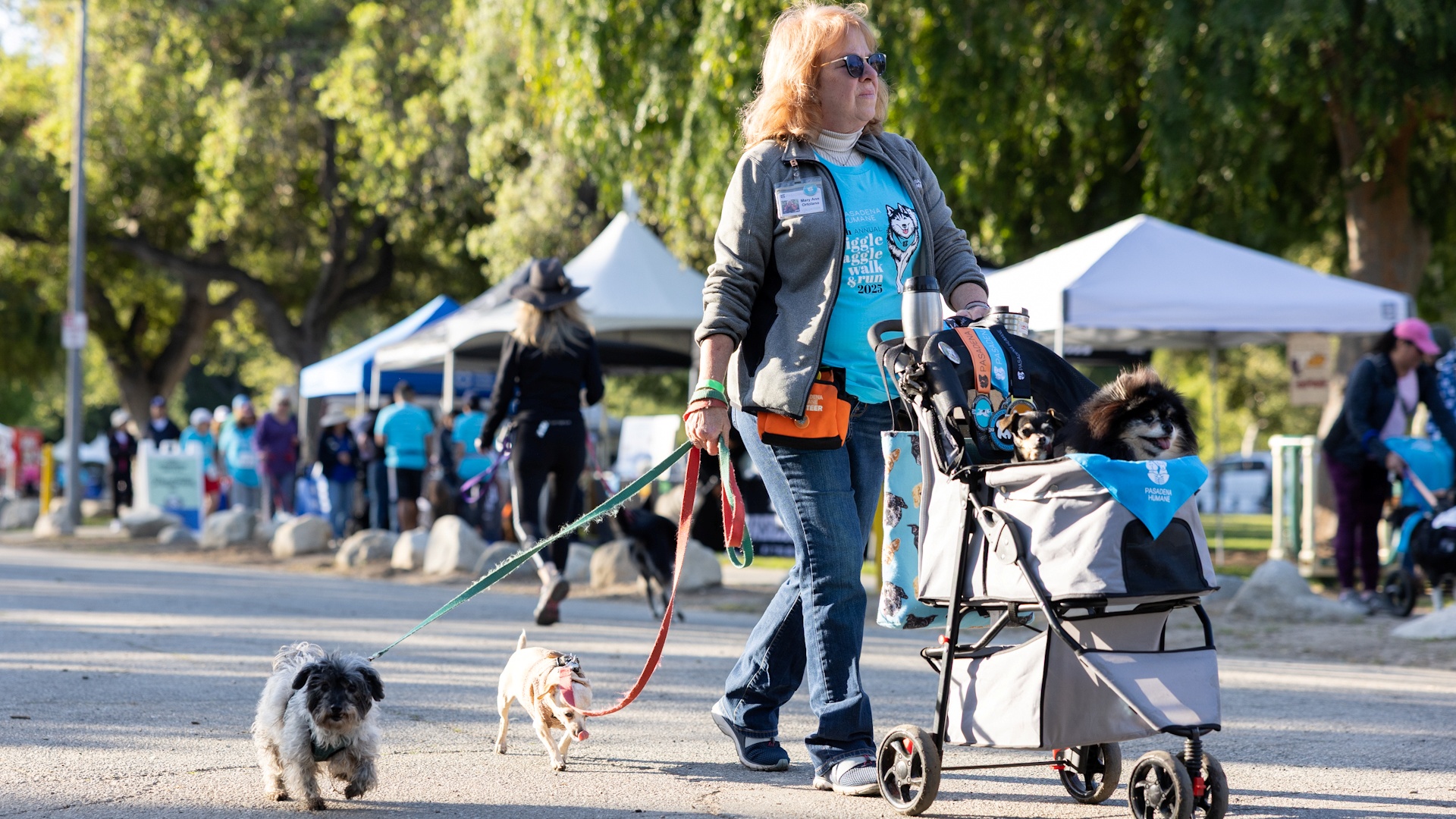 Pups prepare to ‘Wiggle’ and ‘Waggle’ at a heartwarming walk for ...