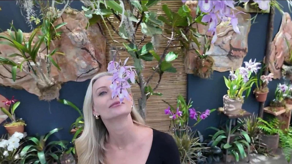 San Diego Botanic Garden: A Legacy in Full Bloom – NBC Los Angeles