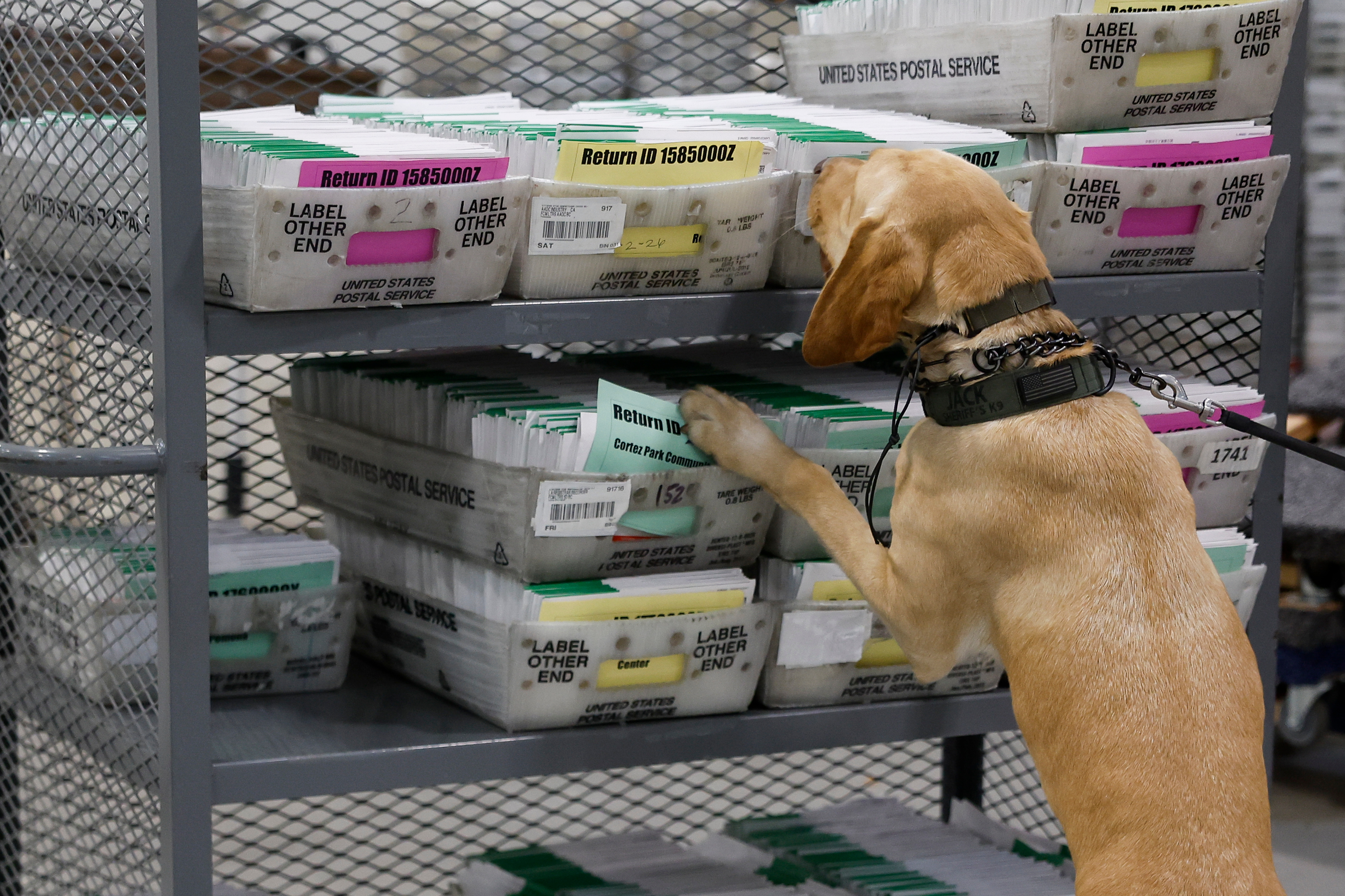 See inside the LA County Ballot Processing Center – NBC Los Angeles