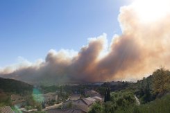 Entertainment News, Celebrity News, and Arts & Entertainment | NBC ...