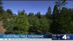 Los Angeles News, Local News, Politics, Sports, Tech, Breaking News ...