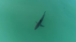 US and World News | NBC Southern California