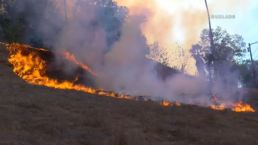 Los Angeles News, Local News, Politics, Sports, Tech, Breaking News ...