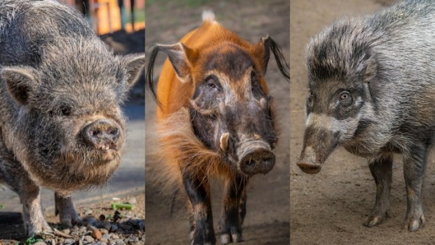 Southern California News | NBC Southern California